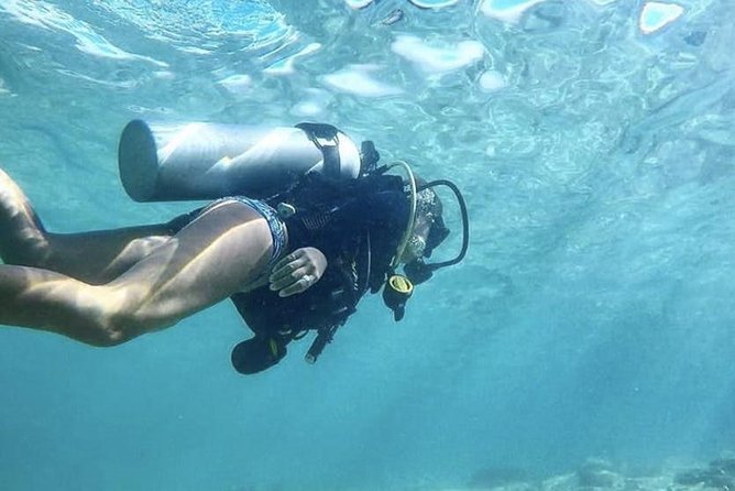 Beginner Scuba Diving Adventure with Videos in Honolulu - The Sum Up: Who Will Enjoy This?