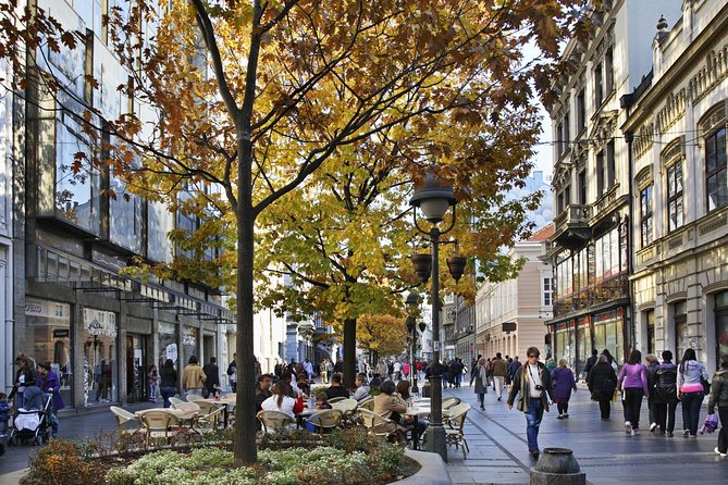 Belgrade: 3-Hour Small Group Walking Tour - Who Should Take This Tour?