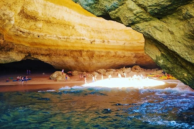 Benagil And Dolphins Tour - Who Should Book This Tour?