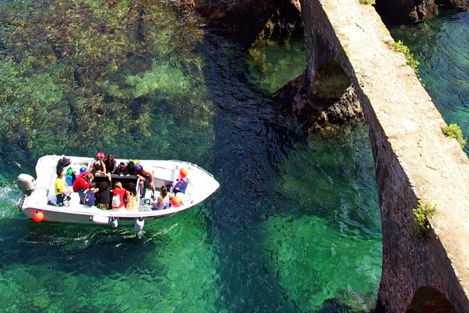 Berlenga Island Small-Group Day Trip from Lisbon - Final Words