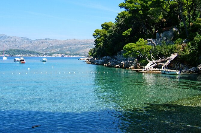 Blue Cave and caves Discovery Dubrovnik - Group Tour by Boat - Who Is This Tour For?