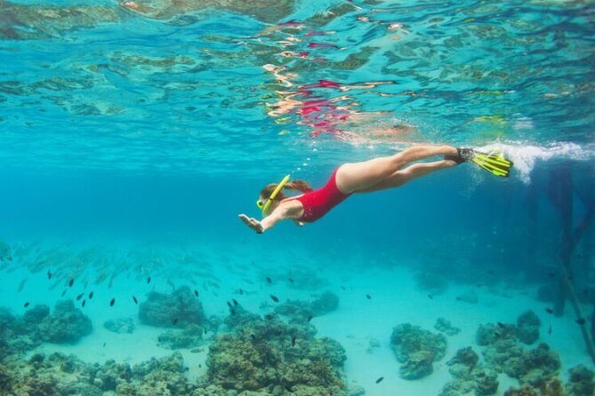 Blue Cave Full-Day Boat Tour with Hvar and 5 Islands - The Sum Up