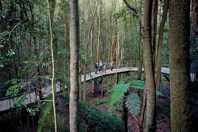 Blue Mountains Small-Group Tour from Sydney with Scenic World,Sydney Zoo & Ferry - Practical Considerations