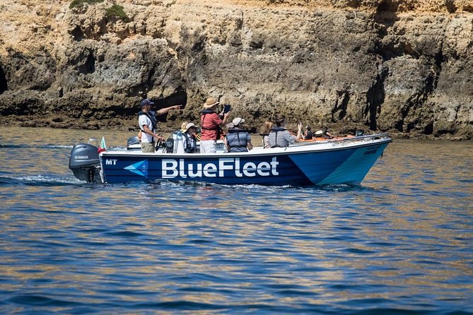 Boat Trip to Ponta da Piedade from Lagos - Practical Tips and Considerations