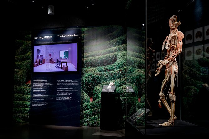 Body Worlds Amsterdam Fast-lane Ticket - Authentic Traveler Feedback