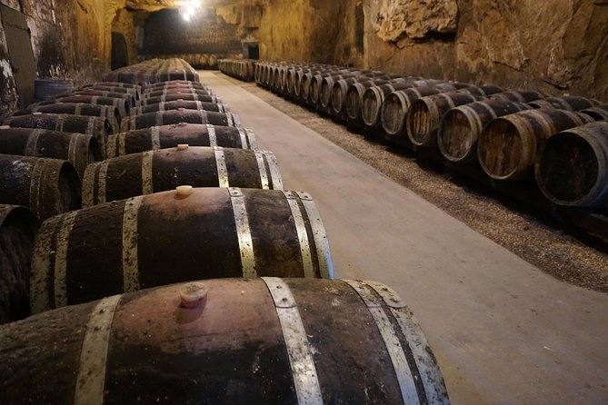 Burgundy Wine Tasting Small-Group Tour in Chablis from Paris - The Experience: What You Can Expect