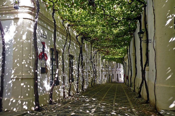 Cadiz and Jerez Day Trip from Seville - Authentic Experiences and Personal Touches