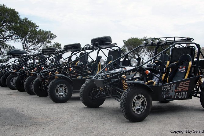 Cala Millor: Mega buggy tours also in Sa Coma - Authentic Experiences and Guest Feedback