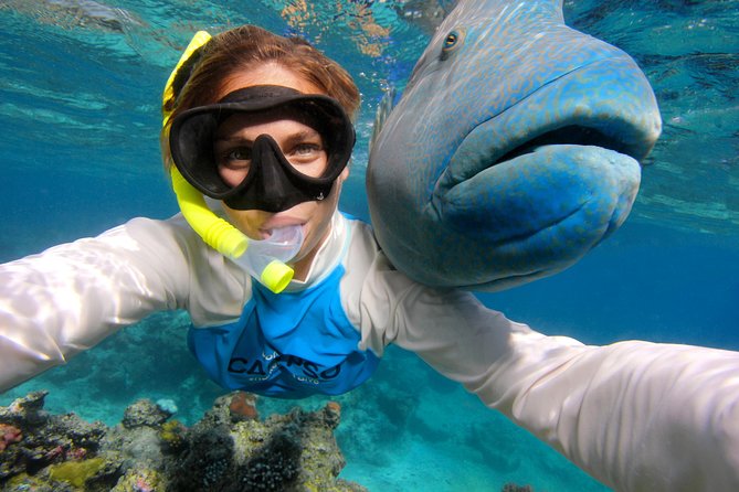 Calypso Outer Great Barrier Reef Cruise from Port Douglas - Food, Comfort, and Extras