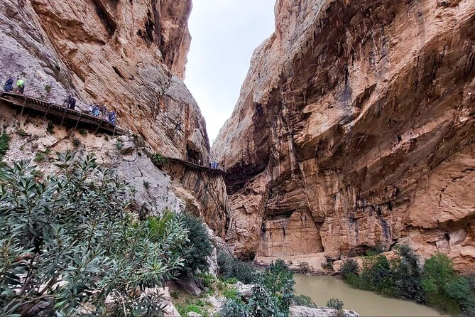 Caminito del Rey with Pickup from Malaga City - Return Journey