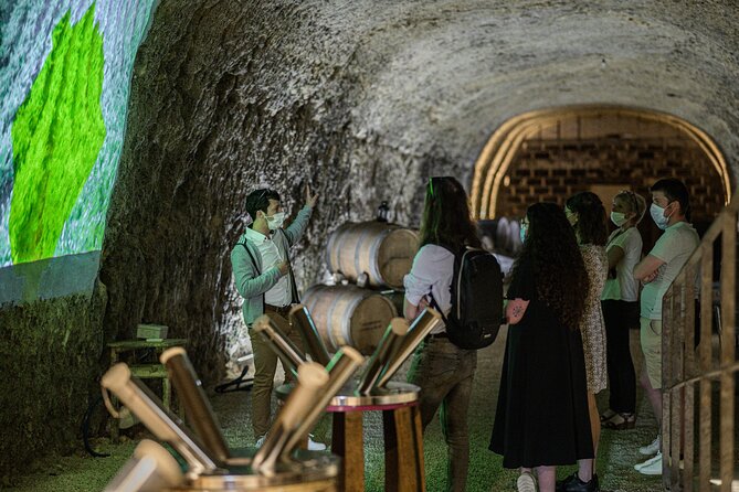 Caves Ambacia, Tour and Wine Tasting in Amboise, Loire Valley - Final Thoughts