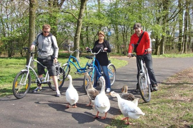 Cheese, Canals & Windmill Countryside E-Bike Tour Amsterdam - Who Will Love This Tour?