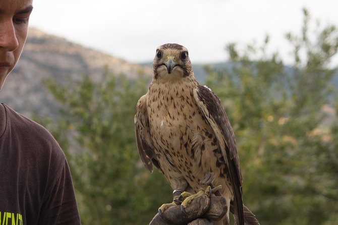 CIVITA EXPERIENCE Borgo Gole Mountain and ... RAPACI del Pollino - The Human Side: Civita and Traditions