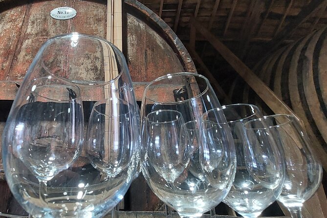 Classic Wine Tasting with GUIDED TOUR - What the Tour Looks Like: A Step-by-Step Breakdown