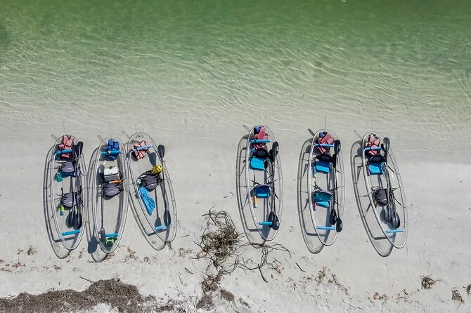 Clear Kayak Tour of Shell Key Preserve and Tampa Bay Area - The Value of the Experience