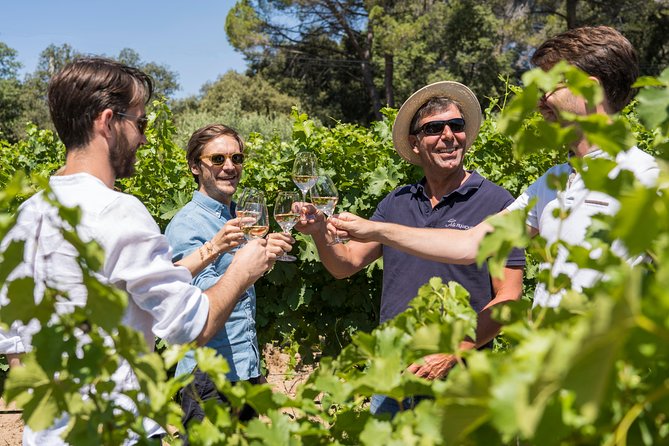 Cotes de Provence Wine Tour from Aix-en-Provence - The Sum Up