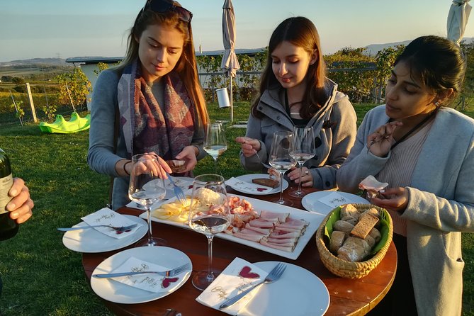Countryside Half Day Wine Tour near Vienna - Comfort, Convenience, and Small-Group Vibe