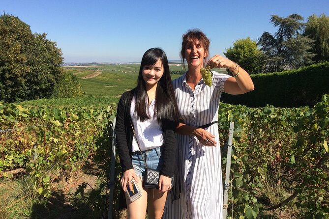 Day trip by van in Champagne small group of 8 - FAQ About the Tour