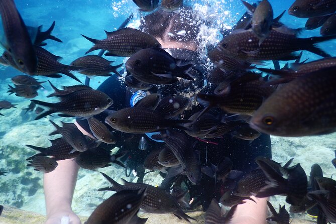 Discover Scuba Diving - Who Will Enjoy This Tour?