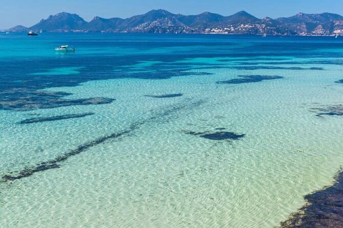 Discover the Lérins Islands and the Bay of Cannes by Private Boat - Who Would Enjoy This Tour?