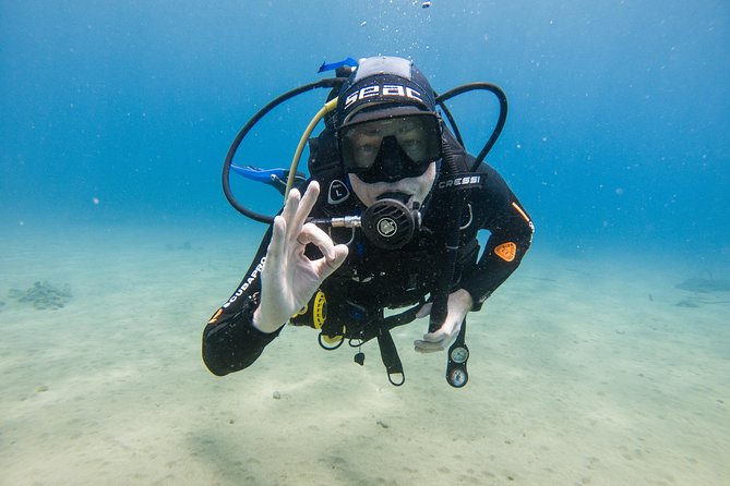 Discover the underwater world of Lanzarote - The Sum Up