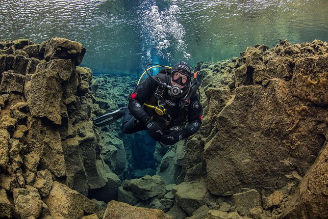 Dive the Divide: Silfra Fissure Scuba Tour | Reykjavik Pickup - The Sum Up: Who Will Love This Experience?