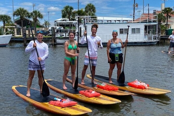 Dolphin and Manatee Stand Up Paddleboard Tour in Daytona Beach - Who Should Consider This Tour?