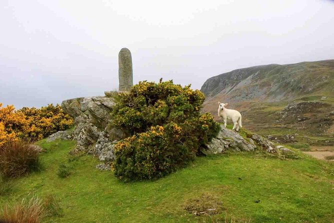 Donegal Coast One Day Self-Guided E-Bike Tour - The Sum Up: Is It Worth It?
