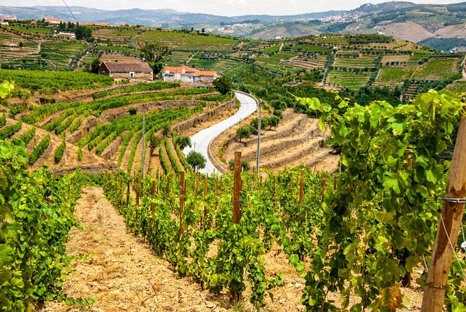Douro Valley EXCLUSIVE Private Day Trip by Car with Boat Included - Practical Considerations and Value