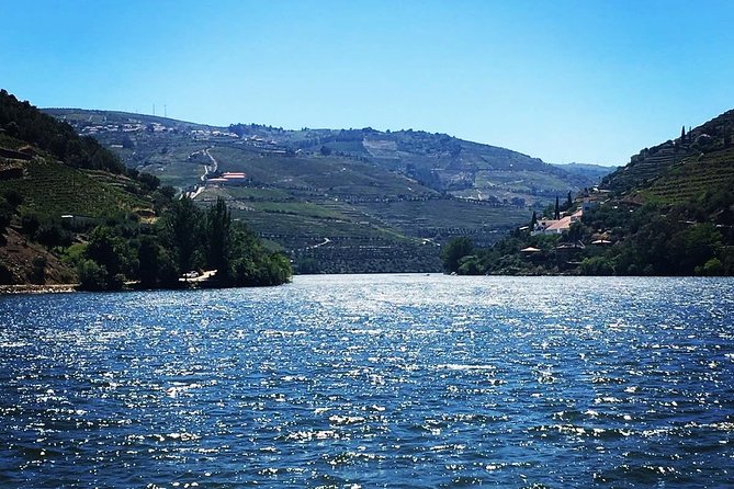 Douro Valley from Porto with Wineries, Lunch and Boat Trip - FAQs