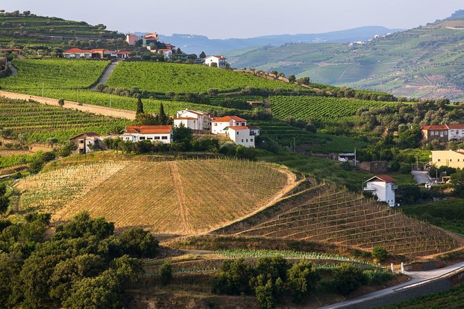 Douro Valley Tour: Wine Tasting, Cruise and Lunch from Porto - FAQ