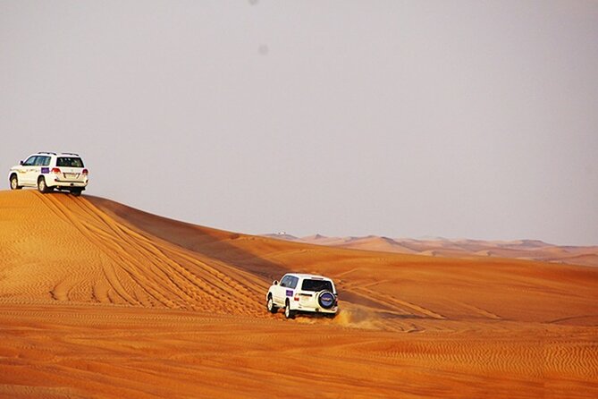 Dubai Desert Safari with BBQ, 3 Shows & Camel Ride at Majlis Camp - Final Thoughts
