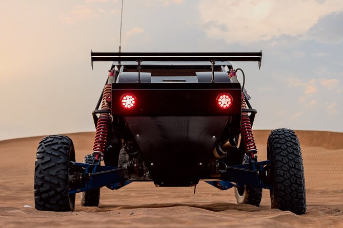 Dubai Dune Buggy Safari Tour in Red Dunes Options - Who Should Consider This Tour?