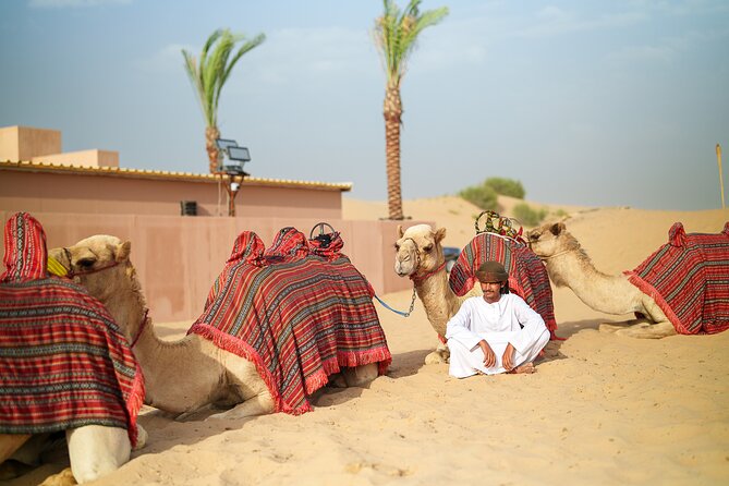 Dubai Evening Desert Safari BBQ Dinner & Transfer to Noble Camp - The Value of the Experience: Is It Worth the Price?