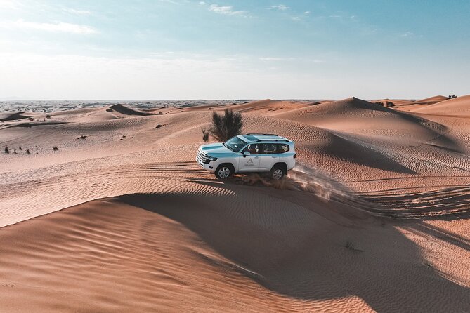 Dubai Evening Desert Safari: Sandboarding, BBQ, Camel Ride & more - Final Thoughts