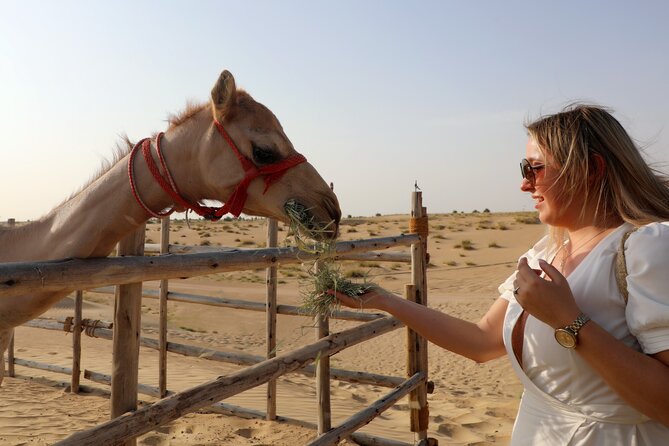 Dubai Evening Heritage Safari by Vintage G Class Al Marmoom Oasis - Final Thoughts: Who Will Love This Tour?
