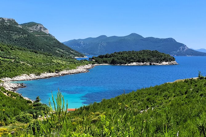 Dubrovnik Private Wine Tasting Tour To Peljesac - Who Is This Tour Best For?