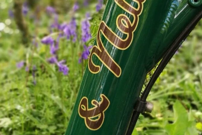E-Bike Cycle - Western Greenway - Westport To Achill Island - Who Should Consider This Tour?