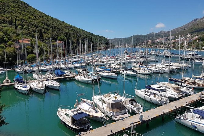 E-Bike Tour + Gourmet Snack + Wine Tasting (Small Group) - Final Thoughts: Is This Tour Worth It?