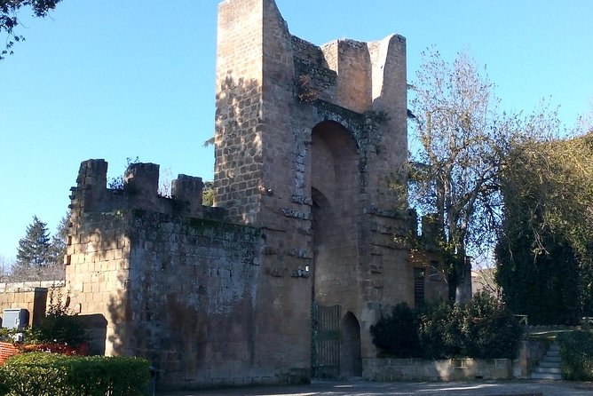 E-bike tour in Orvieto in small group: history, culture with lunch or dinner - Final Thoughts