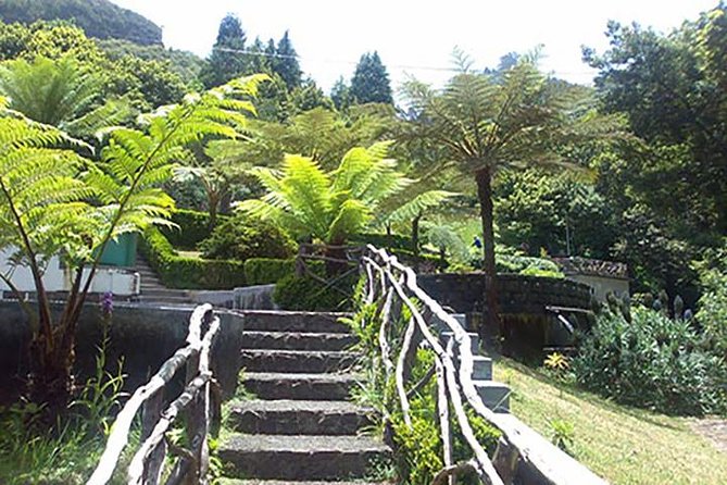 EAST: Pico do Arieiro & Laurissilva Forest - Full Day tour - The Sum Up