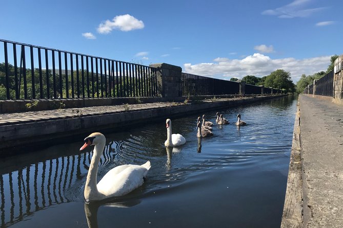 Edinburgh City Bike Tour - Choice of E-Bike or Manual - What People Say: Authentic Voices