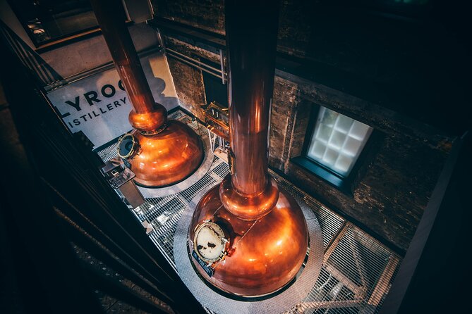 Edinburgh: Holyrood Distillery Whisky and Gin Tour & Tasting - Who Should Consider This Tour?