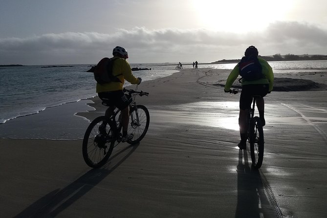 Eleftherna E-Bike and MTB Tour - Experience The Authentic Crete - Price, Value, and Who Should Book
