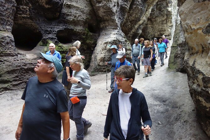 Escape the City: Bohemian and Saxon Switzerland Tour from Dresden - Potential Downsides
