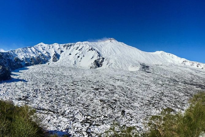 Etna Grantour - 4x4 & trekking - Private tour with lunch included - Who Should Consider This Tour?