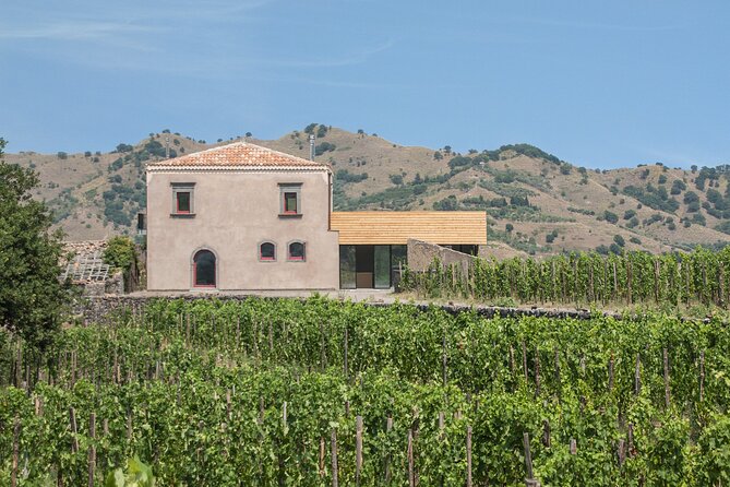Etna Wineries Tour - Final Thoughts: Is It For You?