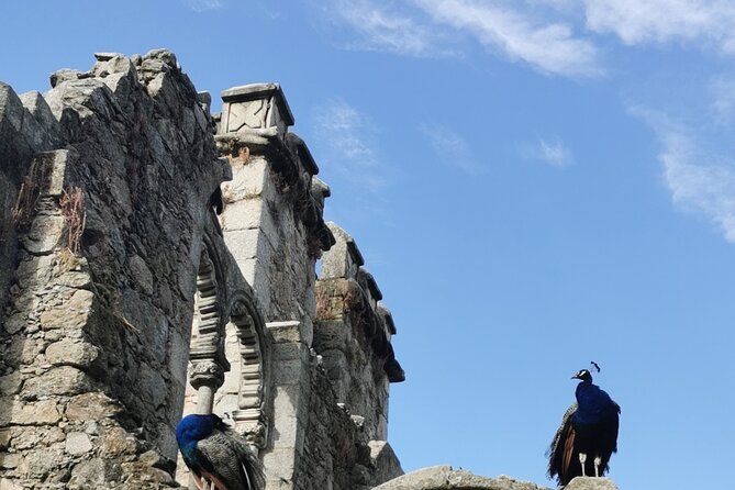 Évora Private Walking Tour, By Local Guide - Who Will Love This Tour?