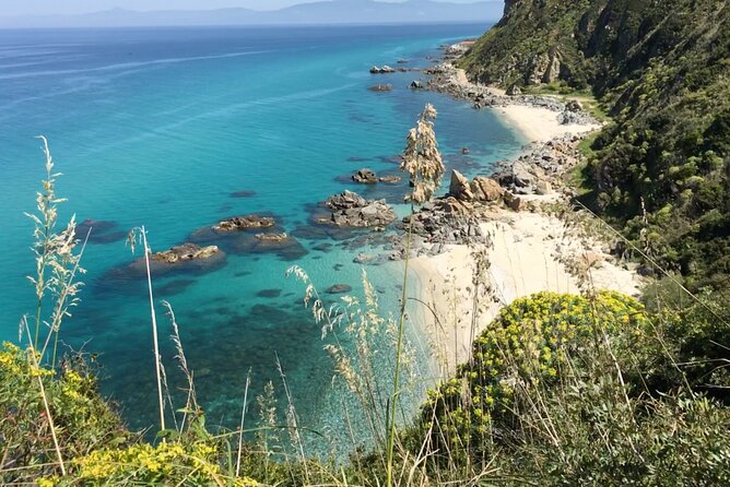 Exclusive boat tour for up to 9 people, beautiful Tropea - Practical Information and FAQs