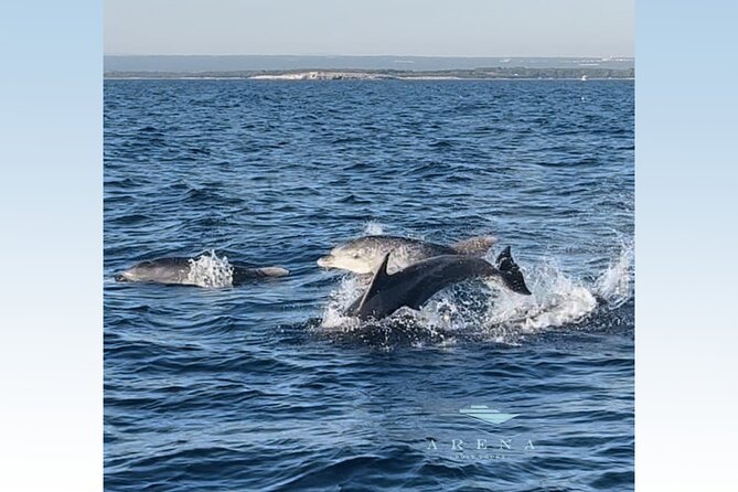 Fantastic DOLPHIN & SUNSET TOUR with dinner (Pula - NP BRIJUNI) - Practical Details & Tips